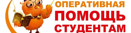 Набор текста (Matn terish) sifatli va hamyonbop
