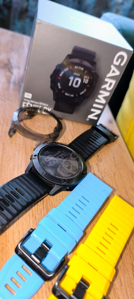 Garmin fenix 6x pro