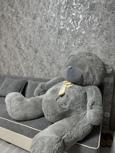 Плюшевый Мишка Teddy