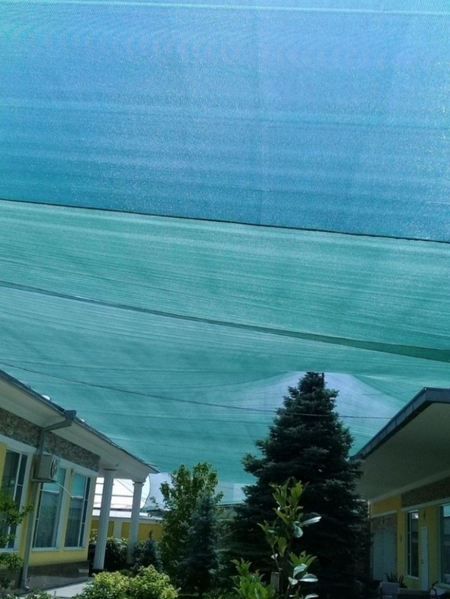 Banner soya setka
