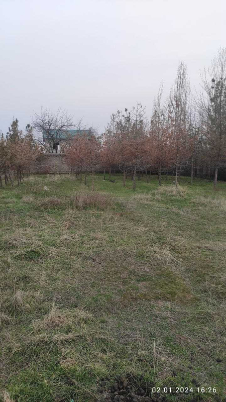 Дачный участок 6 соток Ташморе