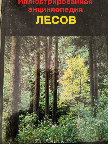 Все для школьников