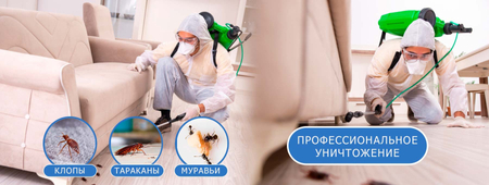 Дезенфекция dezenfeksiya клопы, тараканы, клещи, грызуны гарантия 100%