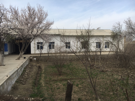Участок в городе бухары