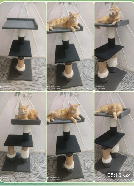 Кошкин дом. Когтеточка. Лежанка. И многое другое.