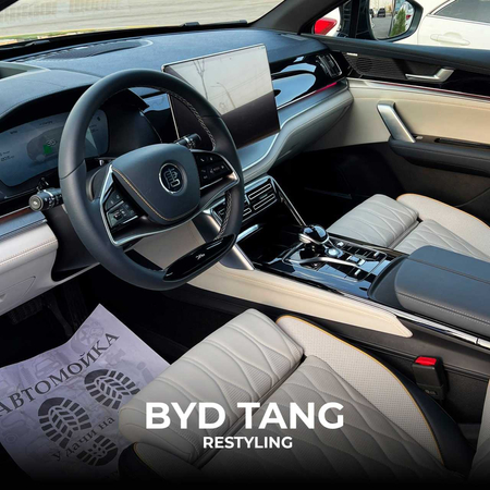 Byd tang 2wd 2023