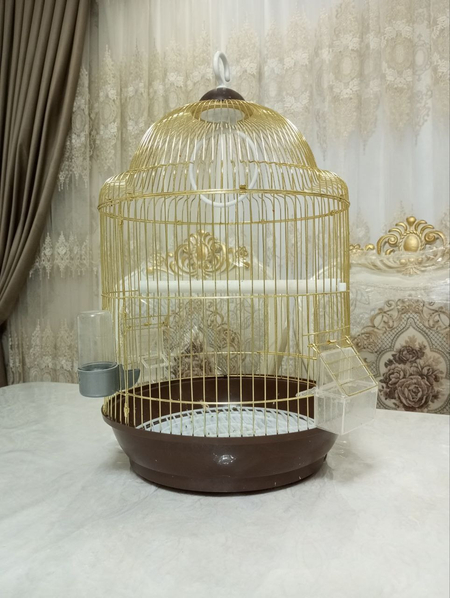 Клетка очин харошим састаяни
