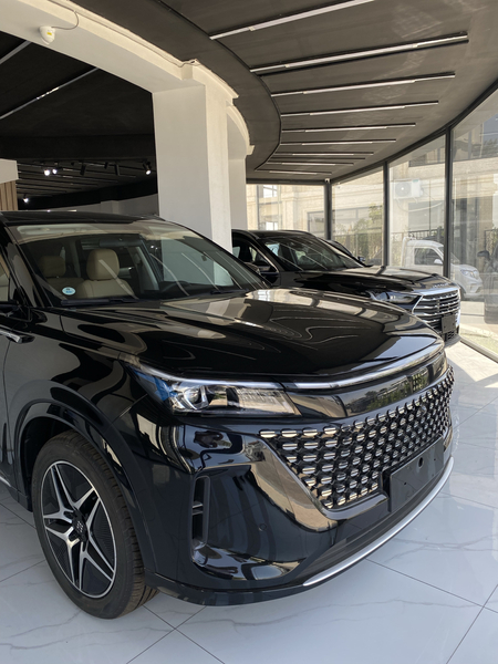 Dongfeng fengon e5