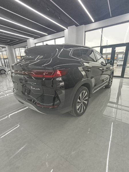 Byd song plus champion edition