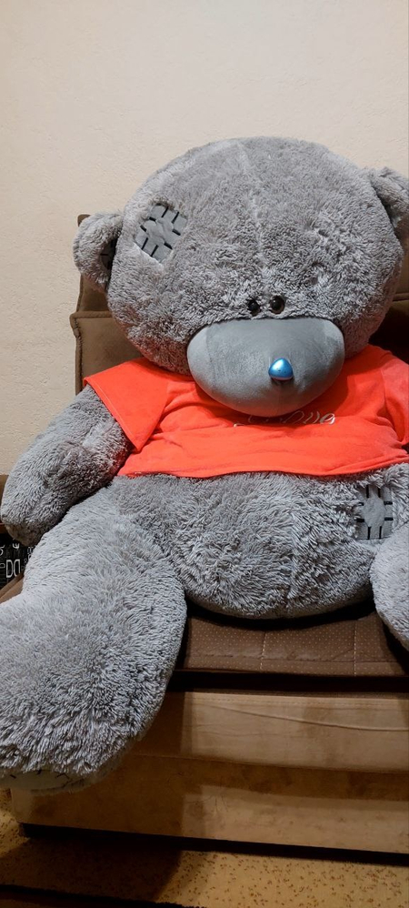 Teddy ayiq kattasi sotiladi yangi olingan  narxi kelishildi arzonroga
