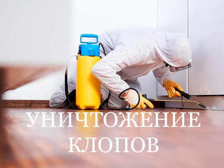 Dezenfeksiya Дезинфекция dezinfeksiya дезинсекция клоп klapa tarakan