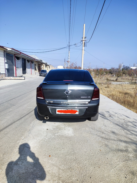 Cobalt luks kandisianer