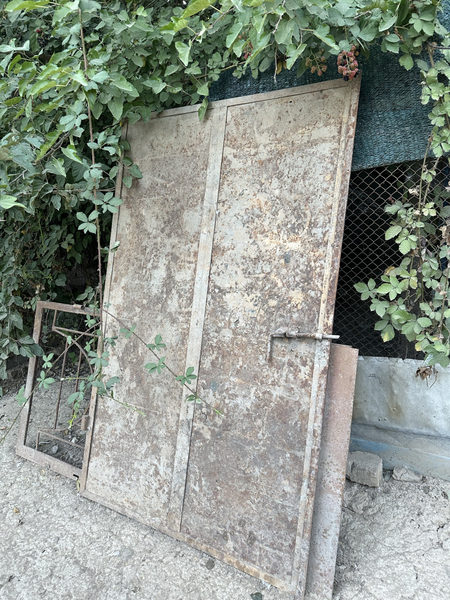 Darvoza ishik.     …