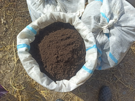 Bio gums anchagina bor telfon raqam