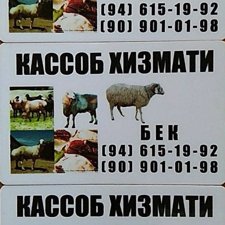 Qo'chqorlar sotiladi toy va marasimlarga