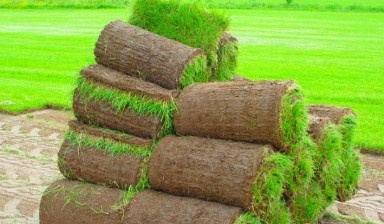 Газон Gazon Газон