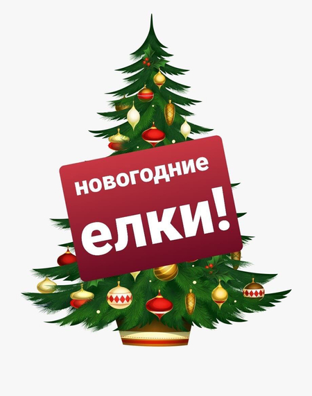 Ёлки , ёлка, ёлки , ёлка,ёлки ,ёлка, ёлки ,ёлка, ёлки, ёлка, ёлка.