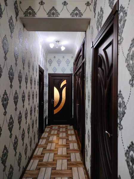 Сдается 2х люкс квартира на 3 этаже (ор Богишамале)
