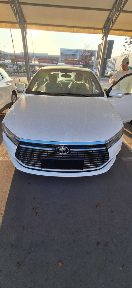 Byd Qin Pro Ev 450