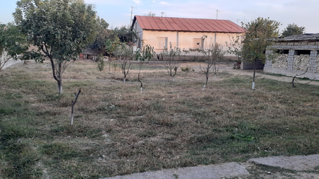 Uchastka 8 sotix Baytqo'rg'on