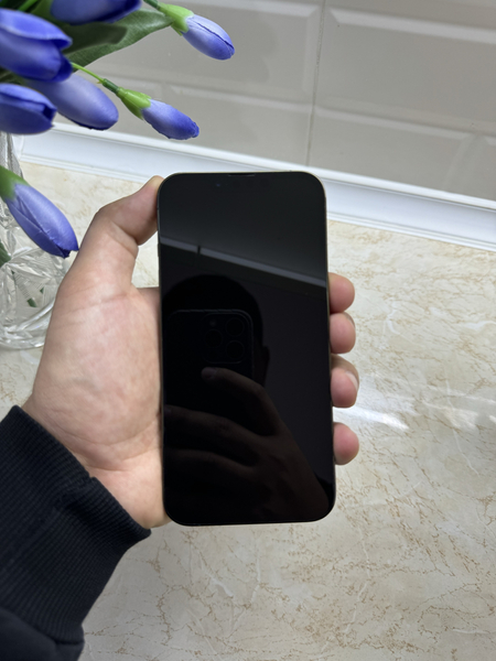 Iphone 13 Pro 256 GB LL/A Ideal