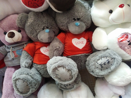 Teddy Teddi
