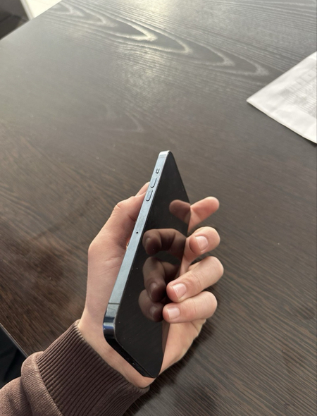 Iphone 12 pro max 256g