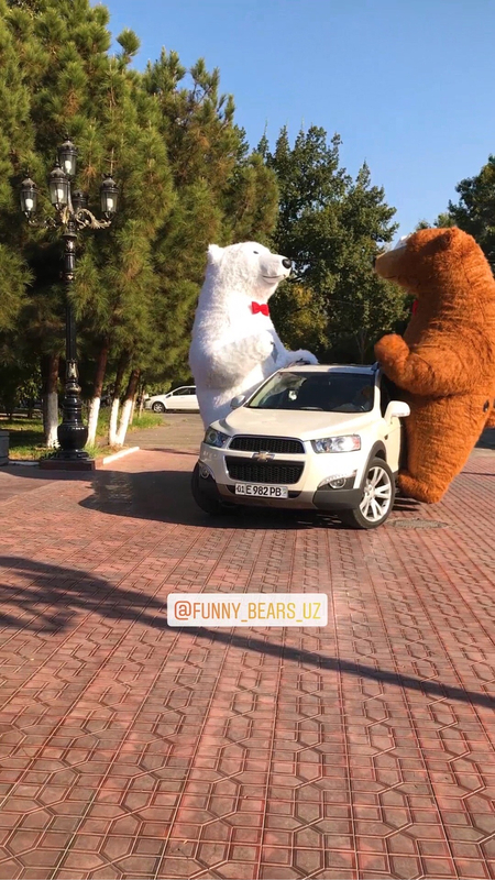 Sotiladi yengi Ayiq, Ayiqlar, Teddy ayiqlar.