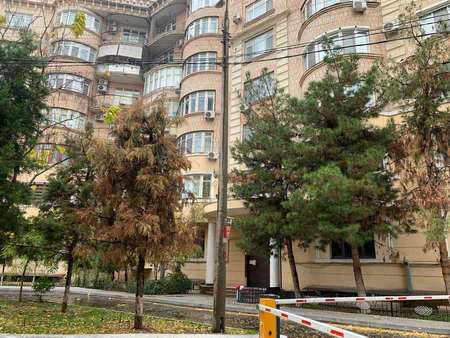 Сдаётся квартира в центре города м Айбек (167706)