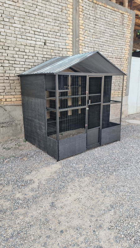 Kataklar yasab beramiz tovuqlarga va kabutarlarga