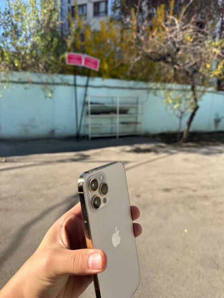 iphone 12 pro max LLA