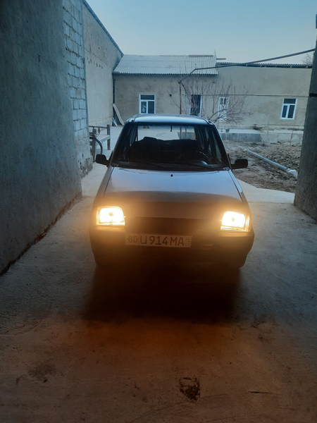 Tiko. Holati yaxshi