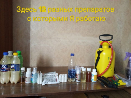 Препарат и лекарство для Дезинфекция, дезинсекция таракан, мухи и клоп