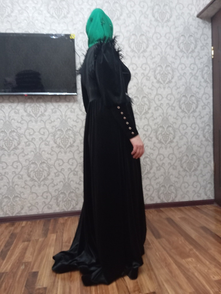 Койлак вечирний шлефтли