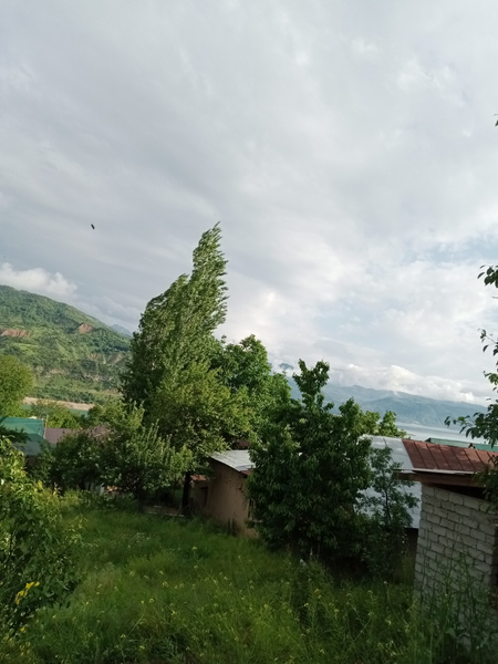 Dacha sijjak manzarali joy