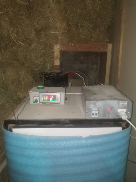 Incubator 500talik