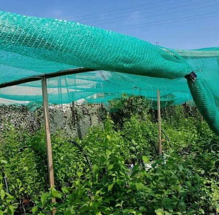 Оптом нархда Солнцазащитные сетки Quyoshdan saqlovchi setkalar