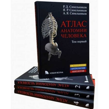 Распечатка книг. Kitob chiqaramiz. Атлас анатомия человека (том 1-4)