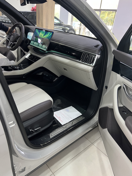BYD Chempion Restaylin 2025 Narda Greey