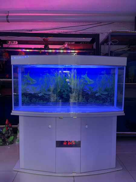 Akvarium 200litrli.