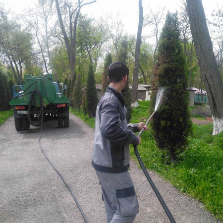 Обнаружение и обработка деревьев против вредителей и болезней.