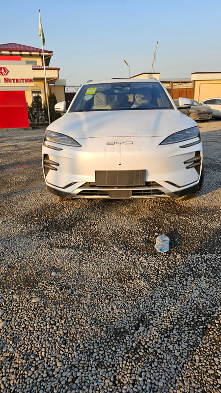 BYD Chempion 605 Oq