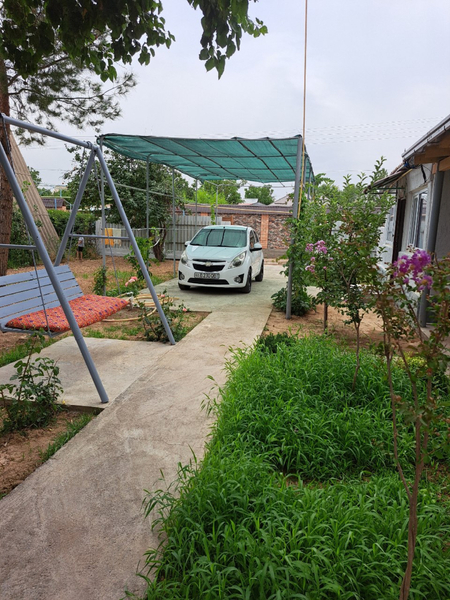 Dala xovli dacha