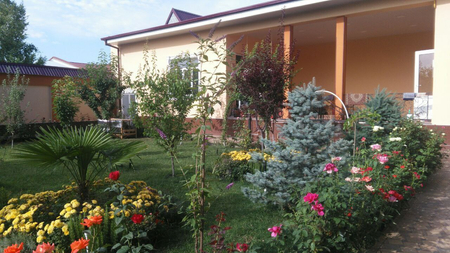 Arenda Dormon hovli 10 sotih 6 hona 2000 y.e