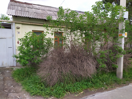 Uchastka sotiladi srochna