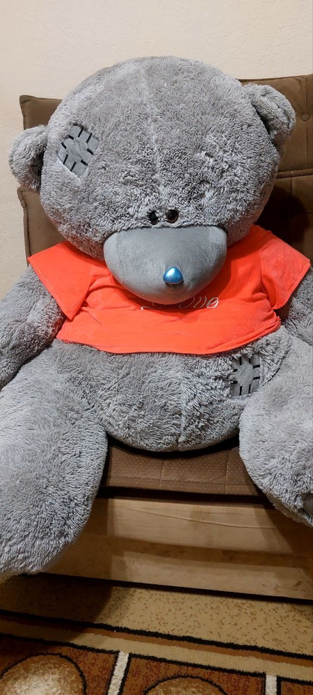 Teddy ayiq kattasi sotiladi yangi olingan  narxi kelishildi arzonroga