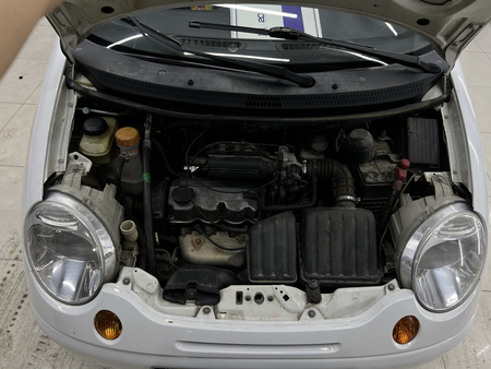 Matiz kanditsianer
