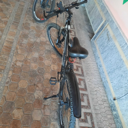 Velosiped arenda
