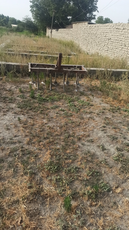 Самарканд вилояти окдарё туманида
