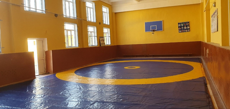 Kurash gilami (борцовский ковёр)